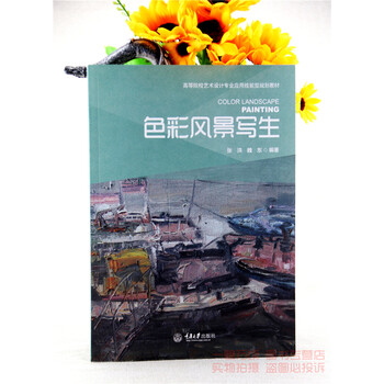 正版色彩风景写生张洪魏东重庆大学出版社考研大中专全新教材9787562496410