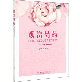 观赏芍药