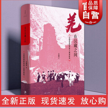 rt 2021新版 羌在汉藏之间:川西羌族的历史人类学研究 历史人类学家明珂力作上海人民出版社