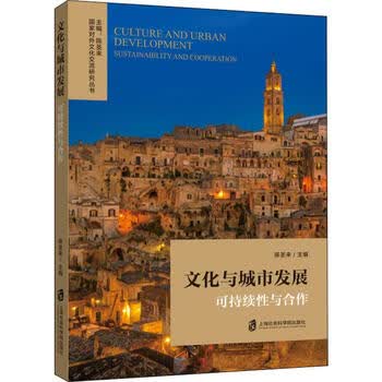 文化与城市发展:可持续性与合作