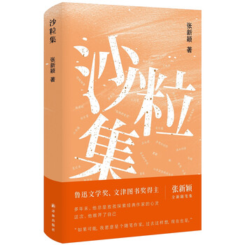 张新颖作品：沙粒集