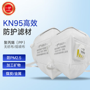 一护口罩KN95防尘9501v+防工业粉尘9502V+头戴雾霾呼吸阀 头戴9502V+（30包）【图片 价格 品牌 报价】-京东