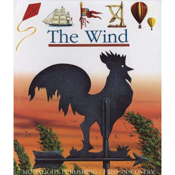 英文原版 The Wind