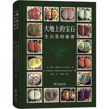 大地上的宝石 生石花的秘密 图书