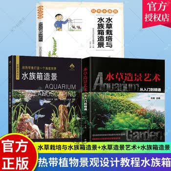 正版 全3册 给热带鱼打造一个海底世界 水族箱造景+水草栽培与水族箱造景+水草造景艺术:从入门到精通 水族箱水瓶水钵造景