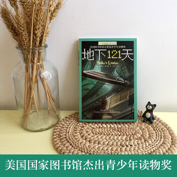 地下121天儿童长青藤国际大奖小说书系列图书小学生三四五六七年级课外书老师阅读人教版上外国小说 地下121天