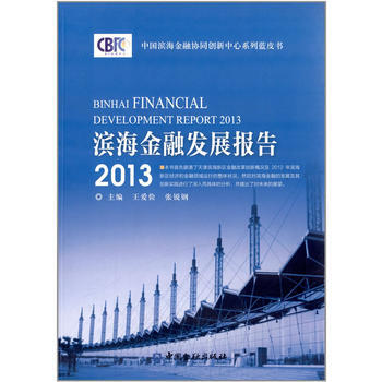 滨海金融发展报告 2013