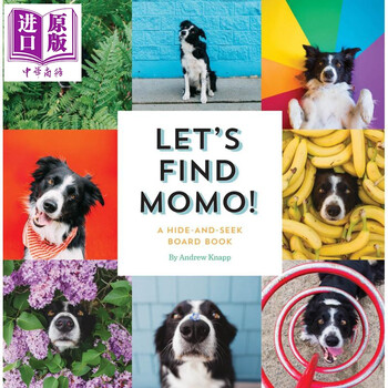 Lets Find Momo Hide And Seek Board Book 让我们找到Momo 捉迷藏的书 英文原版进口 狗狗找找书 纸板图画书