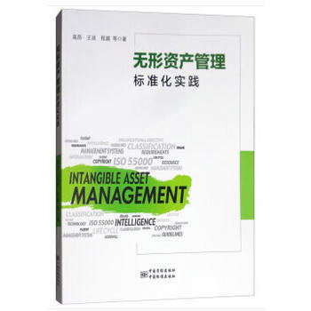 无形资产管理标准化实践 9787506690263 中国标准出版社 高昂,王双,程越 等