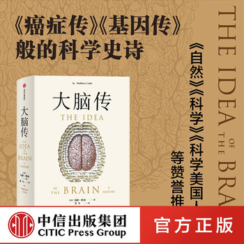 大脑传 马修·科布著 中信出版社图书