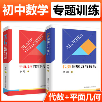 中科大初中数学代数的魅力与技巧+ping面几何的知识与问题 单墫 初一初二初三初中数学解题规律方法与
