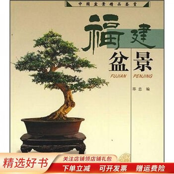 福建盆景 邵忠