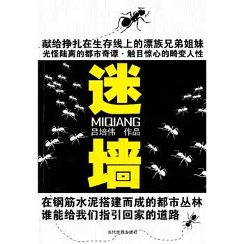 迷墙