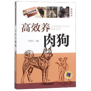 #高效养肉狗 李顺才
