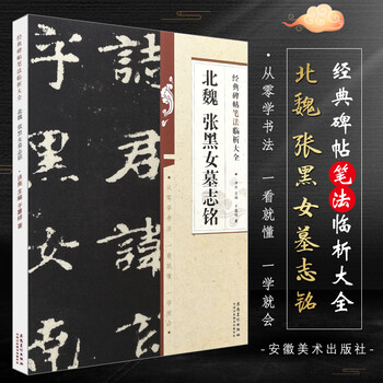 正版北魏 张黑女墓志铭 经典碑帖笔法临析大全 附笔法解析 篆书毛笔字帖临摹入门教材 安徽美术魏碑名品