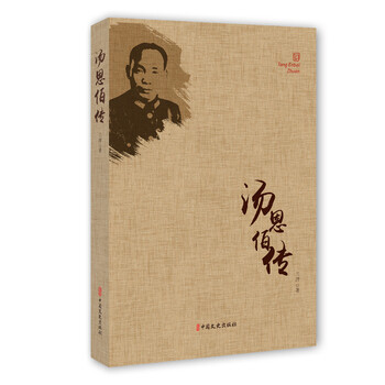 汤恩伯传 传记 书籍