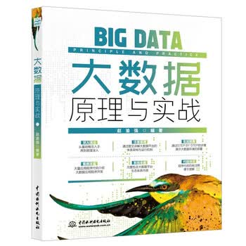 正版正版大数据原理与实战 大数据技术原理与应用书籍 中国水利水电出版社 Java编程基础教程教材书籍