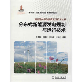 分布式新能源发电规划与运行技术