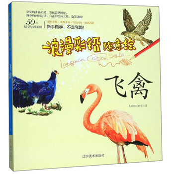 正版 浪漫彩铅随意绘：飞禽9787531483014