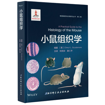 小鼠组织学