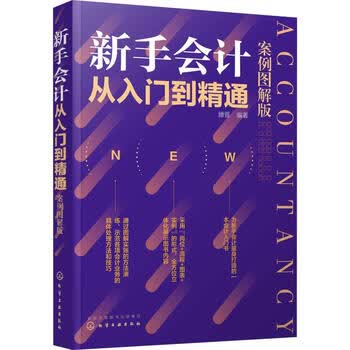 新手会计从入门到精通 案例图解版