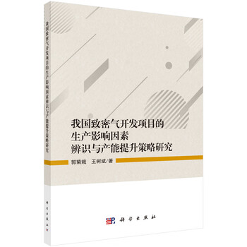 我国致密气开发项目的生产影响因素辨识与产能提升策略研究