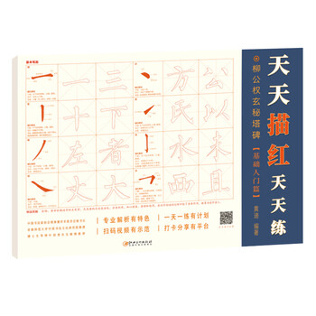 柳公权玄秘塔碑·基础入门篇/天天描红天天练系列描红本