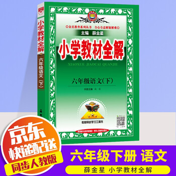 【科目自选】2022薛金星小学教材全解六年级下册部编人教版6年级下课本教材同步解读辅导书 六年级下册 语文 人教版