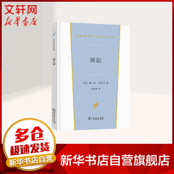 诉讼 图书