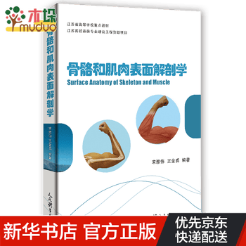 骨骼和肌肉表面解剖学