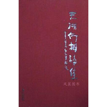 天湖竹棚诗集 李冰奇 泰山出版社