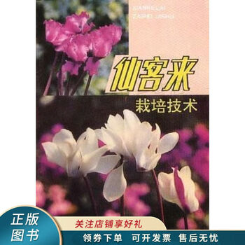 仙客来栽培技术 王云山