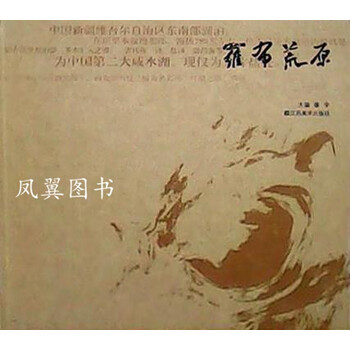 罗布荒原 张宇主编 江苏美术出版社