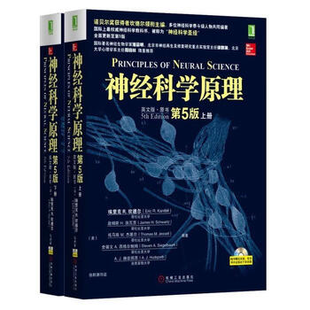 神经科学原理 英文版·原书第5版