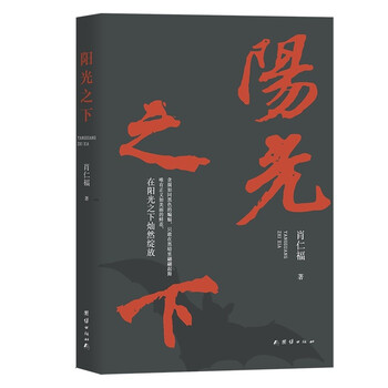正版 中国当代长篇小说：阳光之下9787512688773