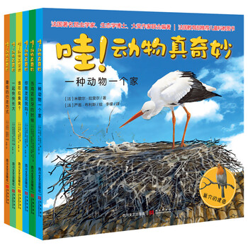 哇!动物真奇妙全套6册 早教启蒙绘本3-4-5-6岁儿童读物启蒙认知绘本趣味科普