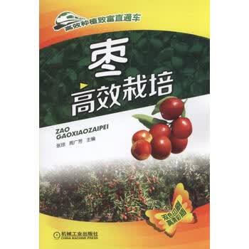 枣栽培
