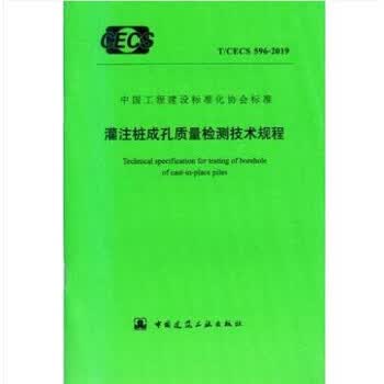 T/CECS 596-2019 灌注桩成孔质量检测技术规程