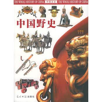 中国野史 翟文明 主编