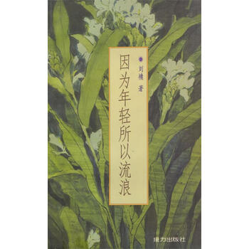 因为年轻所以流浪 (美)刘墉 著【正版书】