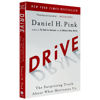 驱动力 Drive 英文原版 全新思维作者丹尼尔平克作品 英文版进口书籍
