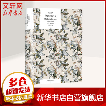 包法利夫人(精)/译文经典