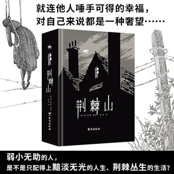 荆棘山：在绝望的荆棘丛里奏响人生悲怆之歌（故事《暗黑元素三部曲作者》菲力普·普曼盛赞的图像小说）