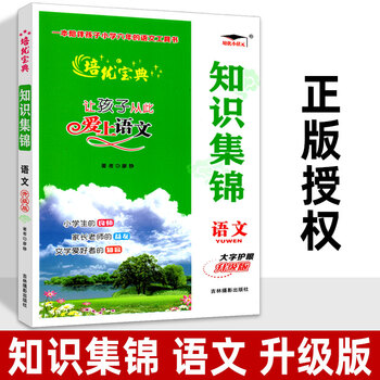 培优宝典知识集锦小学语文升级版小学一至六年级语文知识大全工具书小升初总复习全解资料升级版