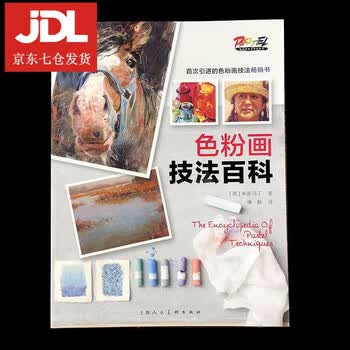 色粉画技法百科  9787558616945