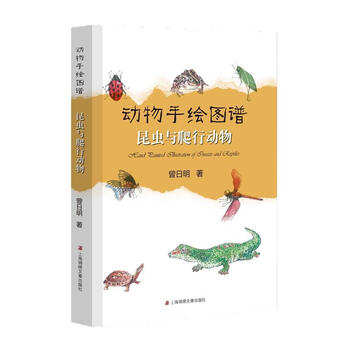 昆虫与爬行 曾日明 上海世纪出版股份有限公司发行中心（