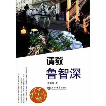 请教鲁智深 沈嘉禄 旅游/地图 9787545809213