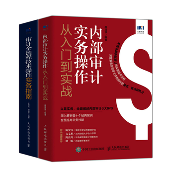 审计全流程技术操作实务指南+内部审计实务操作从入门到实战 内部审计实操培训用书