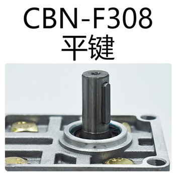 定制适用液压油泵高压齿轮泵CBN-F04 306 308 310 312 314 316 320 3 CBN-F308 右平键【图片 价格 ...