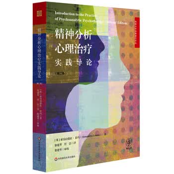 精神分析心理治疗实践导论